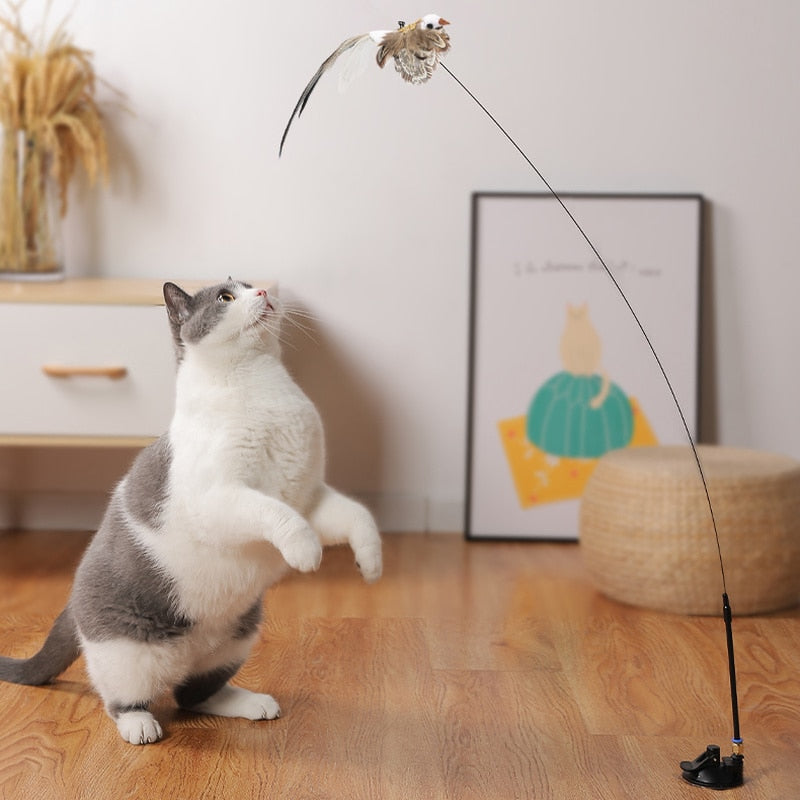 Fur the Purrs – Funzie Drip